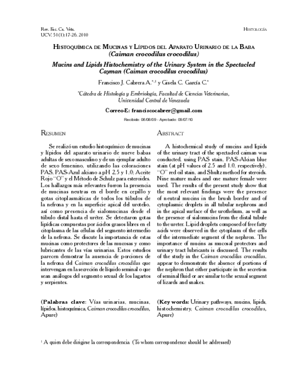 (PDF) Histoquímica de Mucinas y Lípidos del Aparato Urinario de la Baba ...