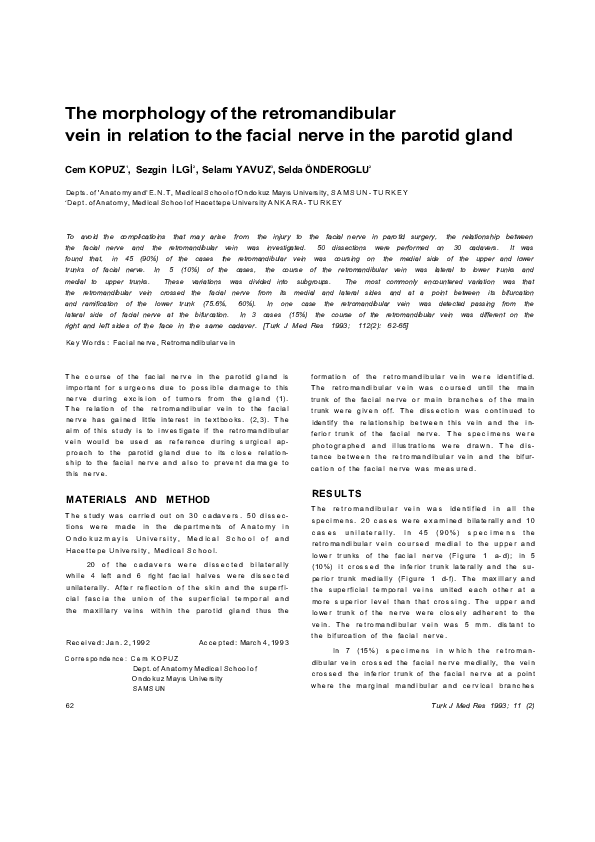 (PDF) Morphology of the Retromandibular Vein in Relation to the Facial ...