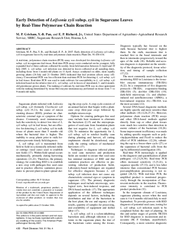 (PDF) Early Detection of Leifsonia xyli subsp. xyli in Sugarcane Leaves ...