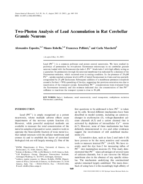 (PDF) Two-Photon Analysis of Lead Accumulation in Rat Cerebellar ...