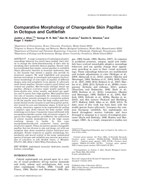 (PDF) Comparative morphology of changeable skin papillae in octopus and ...