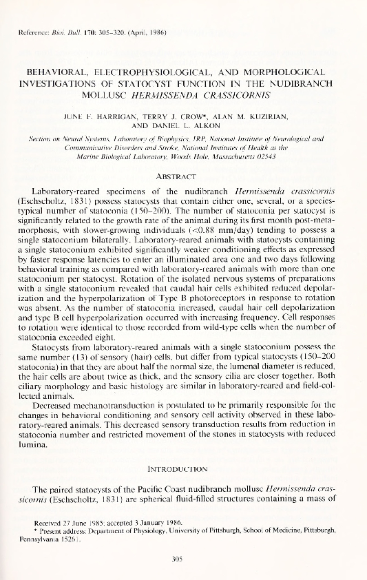 (PDF) Behavioral, Electrophysiological, and Morphological ...