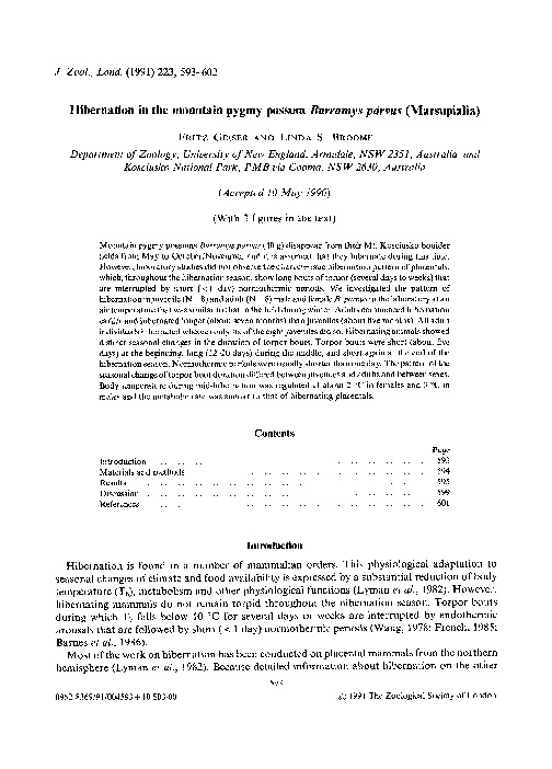 (PDF) Hibernation in the mountain pygmy possum Burramys parvus ...