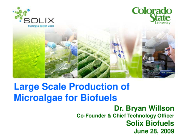 (PDF) Large-scale Production of Microalgae for Biofuels