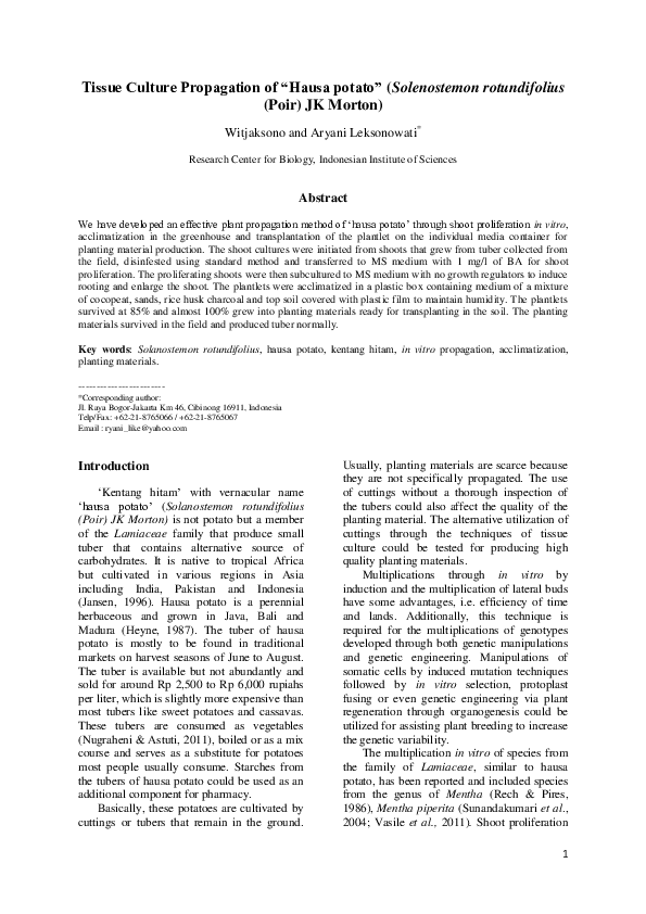 (PDF) Tissue culture propagation of Hausta Potato (Solenostemon ...
