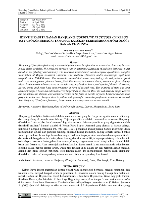 (PDF) Identifikasi Tanaman Hanjuang (Cordyline Fruticosa) DI Kebun Raya ...