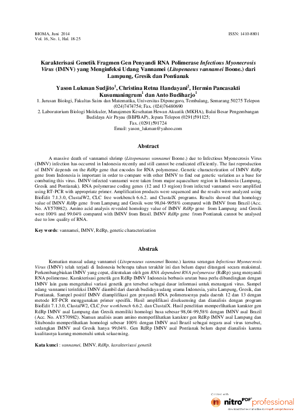(PDF) Karakterisasi Genetik Fragmen Gen Penyandi RNA Polimerase ...