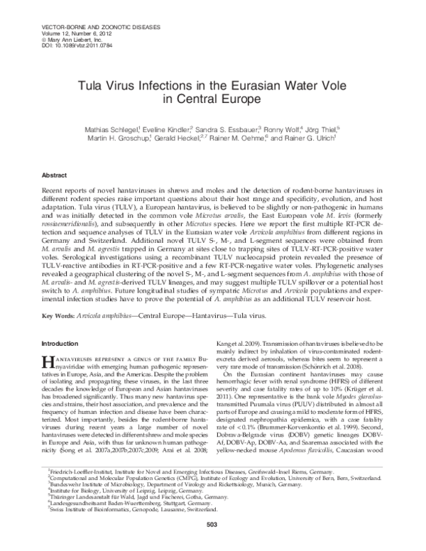 (PDF) Tula Virus Infections in the Eurasian Water Vole in Central Europe