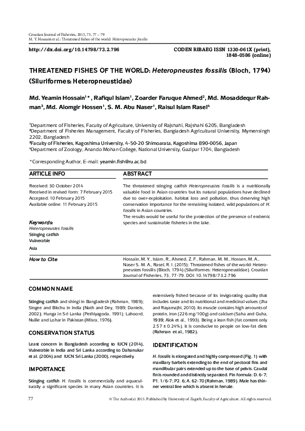 (PDF) THREATENED FISHES OF THE WORLD: Heteropneustes fossilis (Bloch ...