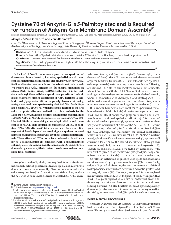 (PDF) Cysteine 70 of Ankyrin-G Is S-Palmitoylated and Is Required for ...