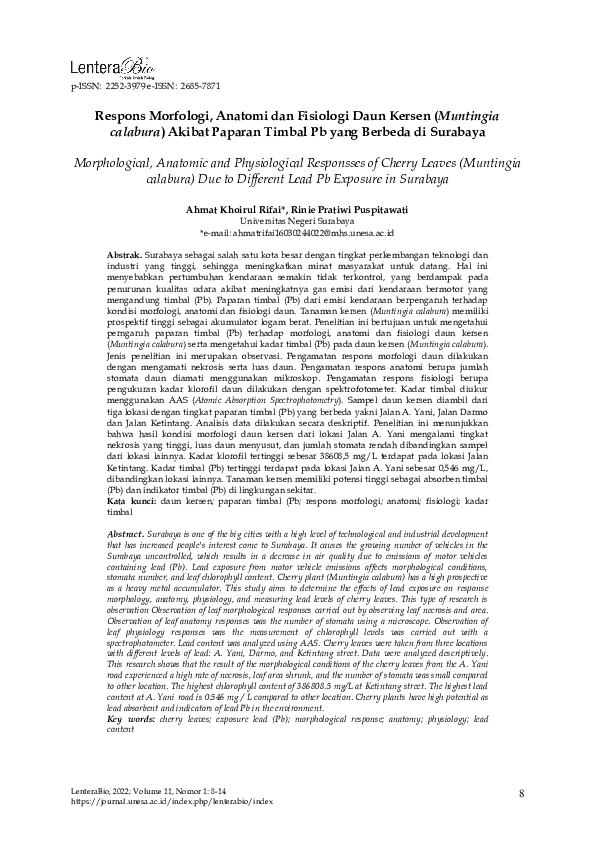(PDF) Respon Morfologi, Anatomi dan Fisiologi Daun Kersen (Muntingia ...