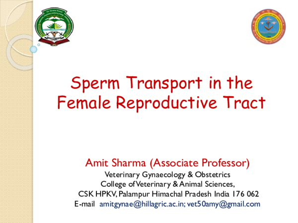 (PDF) Sperm in female repro tract