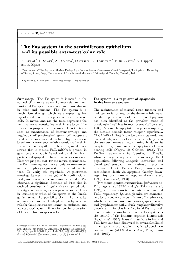 (PDF) The Fas system in the seminiferous epithelium and its possible ...