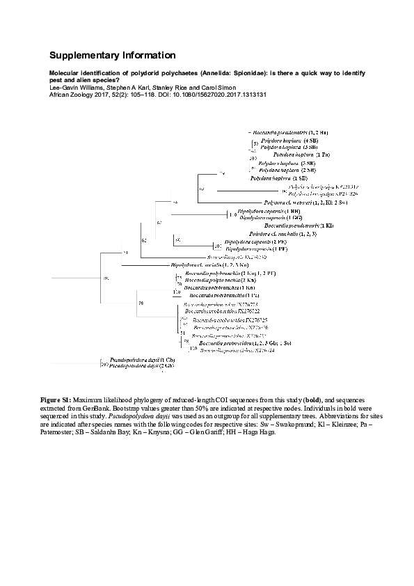 (PDF) Molecular identification of polydorid polychaetes (Annelida ...