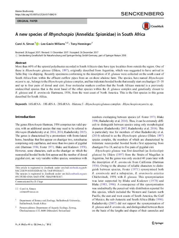 (PDF) A new species of Rhynchospio (Annelida: Spionidae) in South Africa
