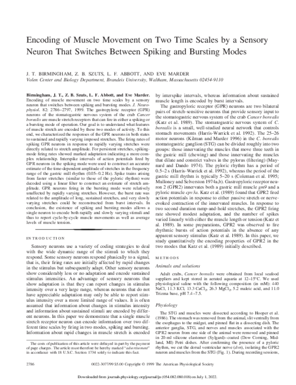 (PDF) Encoding of Muscle Movement on Two Time Scales by a Sensory ...