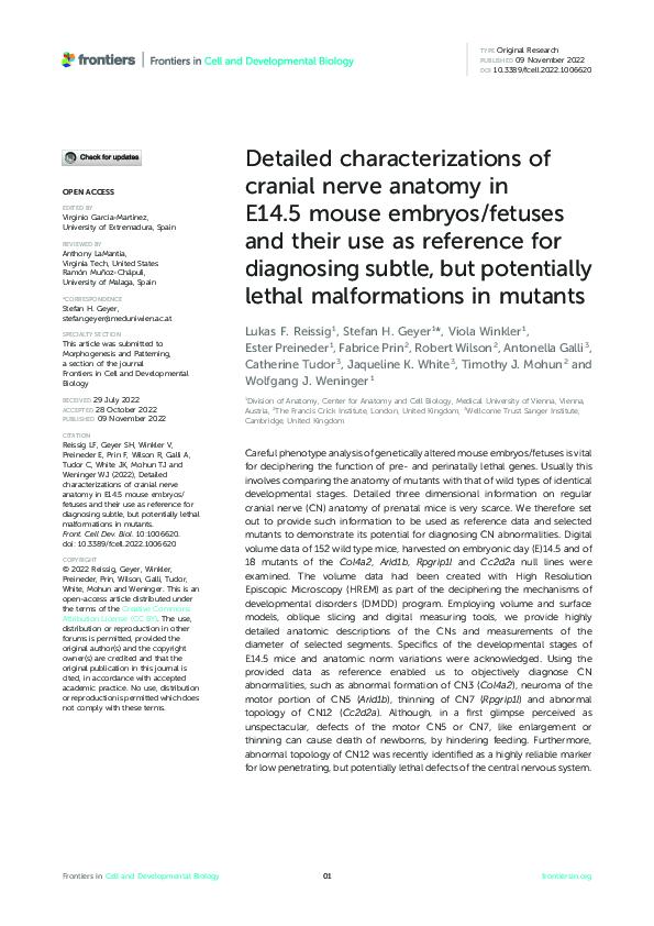 (PDF) Detailed characterizations of cranial nerve anatomy in E14.5 ...