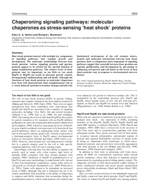 (PDF) Chaperoning signaling pathways: molecular chaperones as stress ...