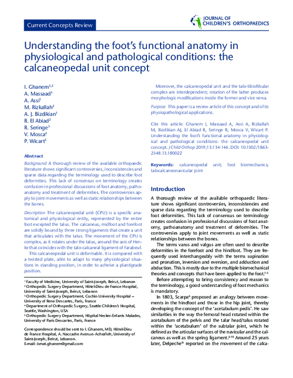 (PDF) Understanding the foot's functional anatomy in physiological and ...