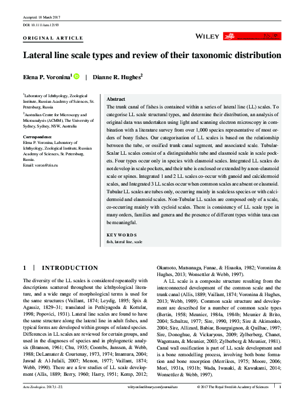 (PDF) Lateral line scale types and review of their taxonomic distribution