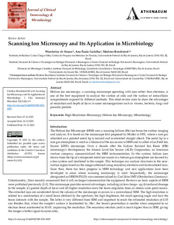 (PDF) Scanning Ion Microscopy and Its Application in Microbiology