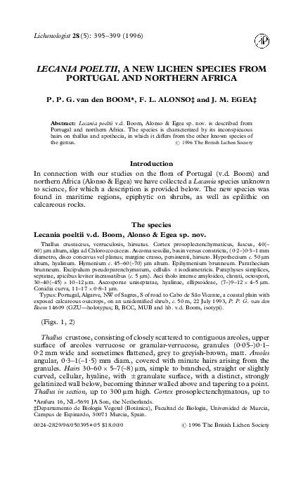 (PDF) Lecania Poeltii, A New Lichen Species From Portugal And Nothern ...