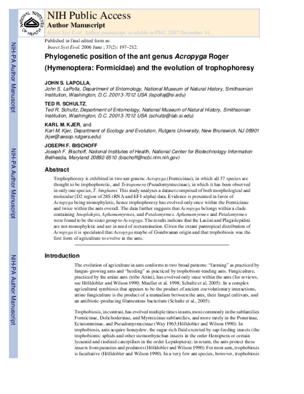 (PDF) Phylogenetic position of the ant genus Acropyga Roger ...