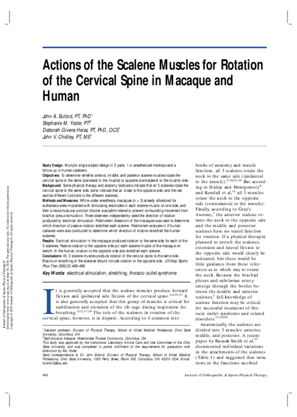 (PDF) Actions of the Scalene Muscles for Rotation of the Cervical Spine ...