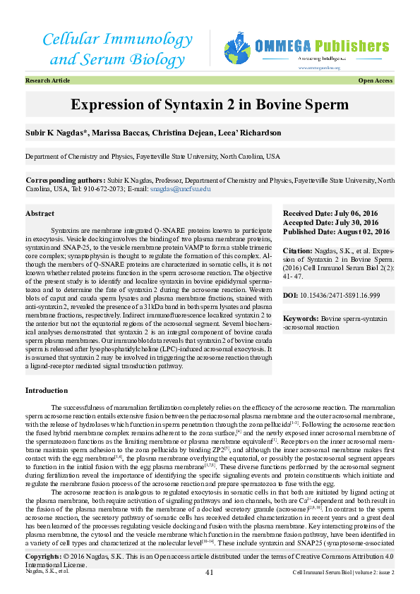 (PDF) Expression of Syntaxin‐2 in Bovine Sperm