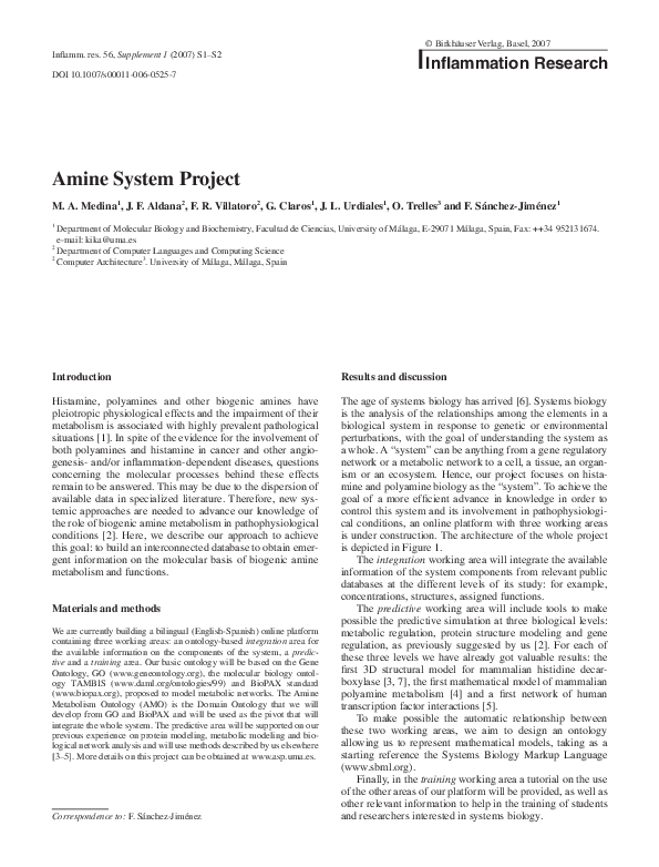 (PDF) Amine System Project