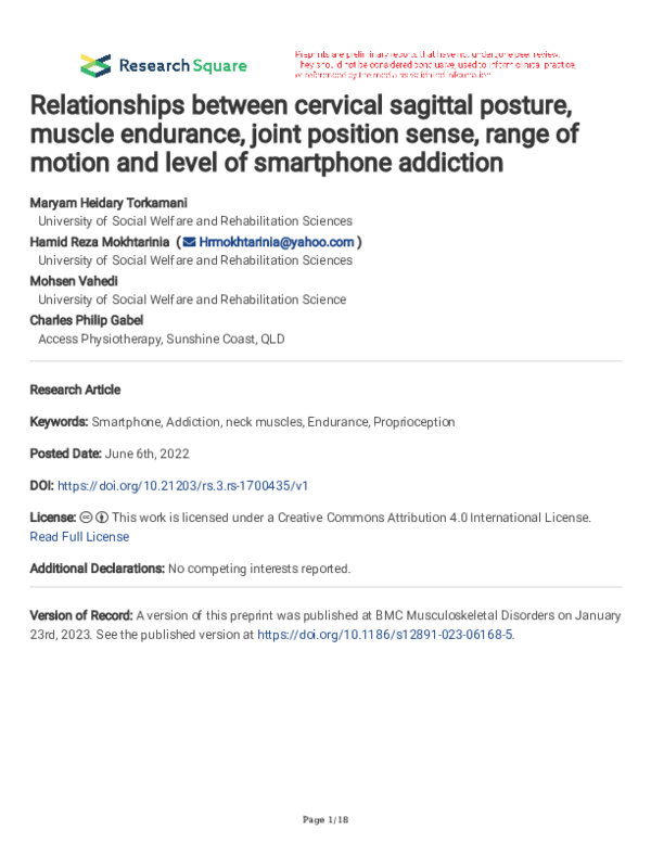 (PDF) Relationships between cervical sagittal posture, muscle endurance ...