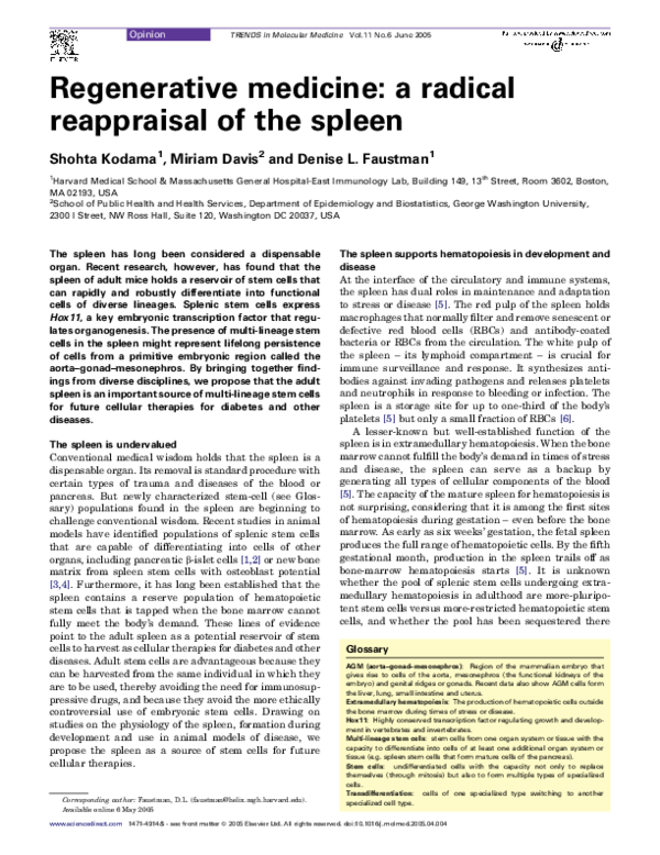 (PDF) Regenerative medicine: a radical reappraisal of the spleen