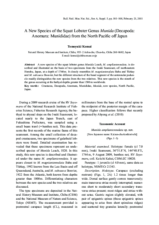 A New Species of the Squat Lobster Genus Munida (Decapoda: Anomura ...