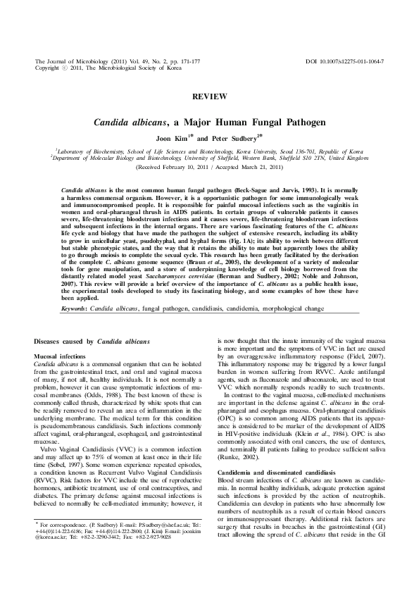 (PDF) Candida albicans, a major human fungal pathogen