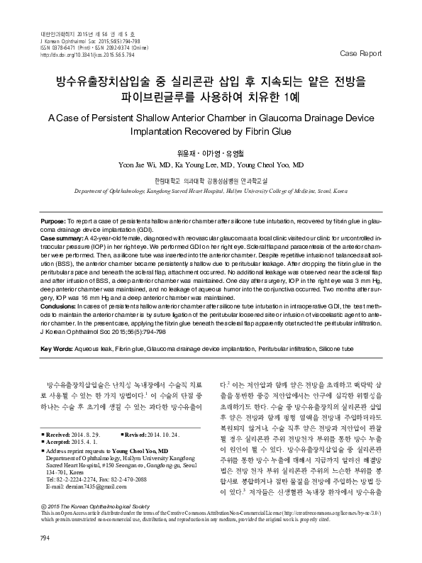 (PDF) A Case of Persistent Shallow Anterior Chamber in Glaucoma ...
