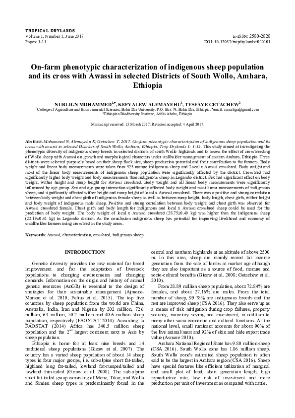 (PDF) On-farm phenotypic characterization of indigenous sheep population and its cross with ...