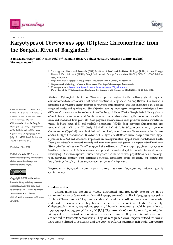 (PDF) Karyotypes of Chironomus spp. (Diptera: Chironomidae) from the ...