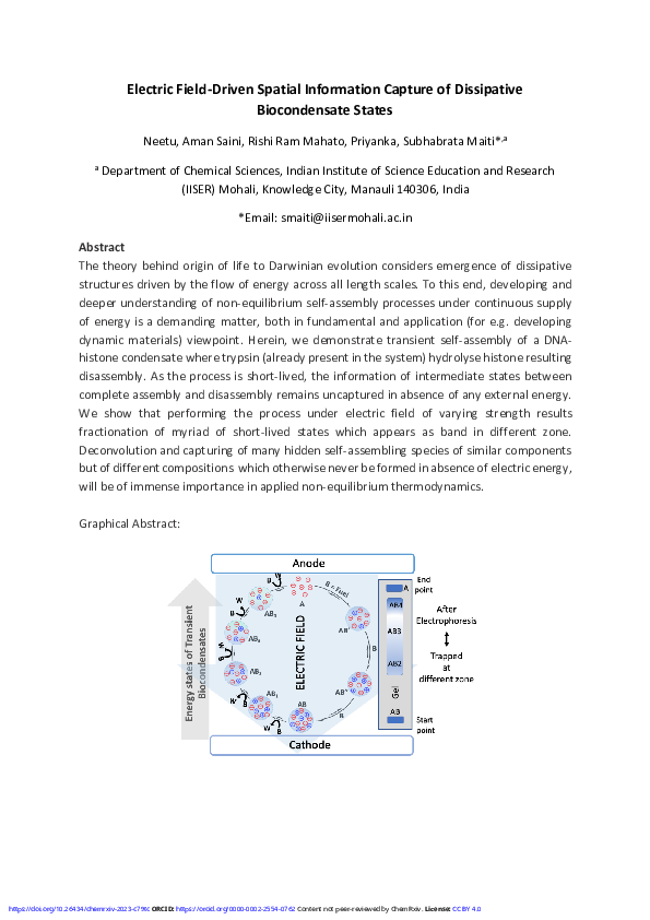 (PDF) Electric Field-Driven Spatial Information Capture of Dissipative ...