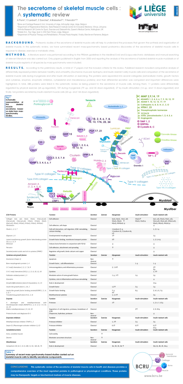 (PDF) The secretome of skeletal muscle cells: A systematic review