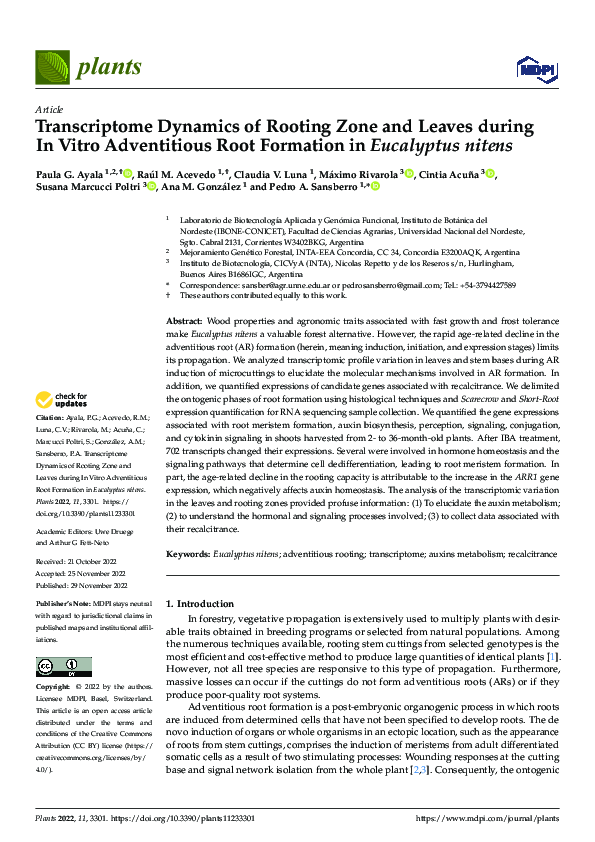 (PDF) Transcriptome Dynamics of Rooting Zone and Leaves during In Vitro ...