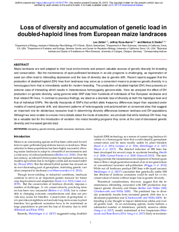 (PDF) Tapping the genetic diversity of landraces in allogamous crops ...