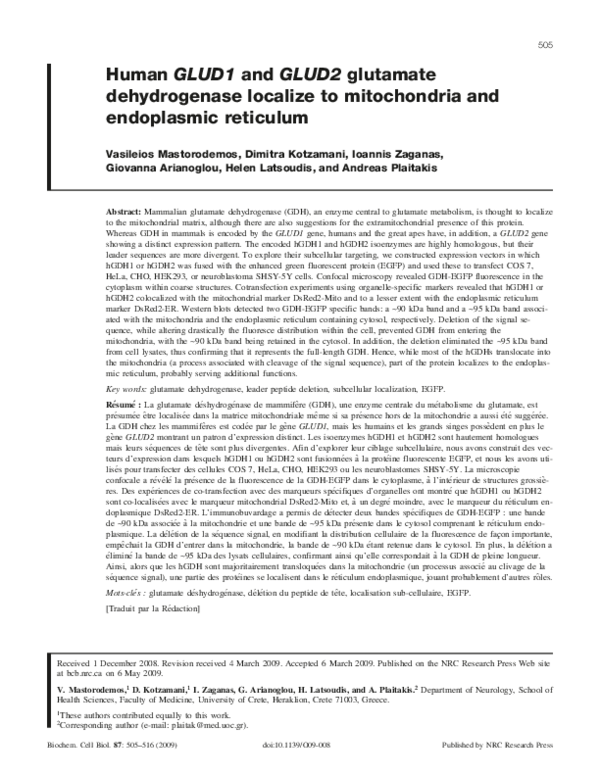 (PDF) Human GLUD1 and GLUD2 glutamate dehydrogenase localize to ...
