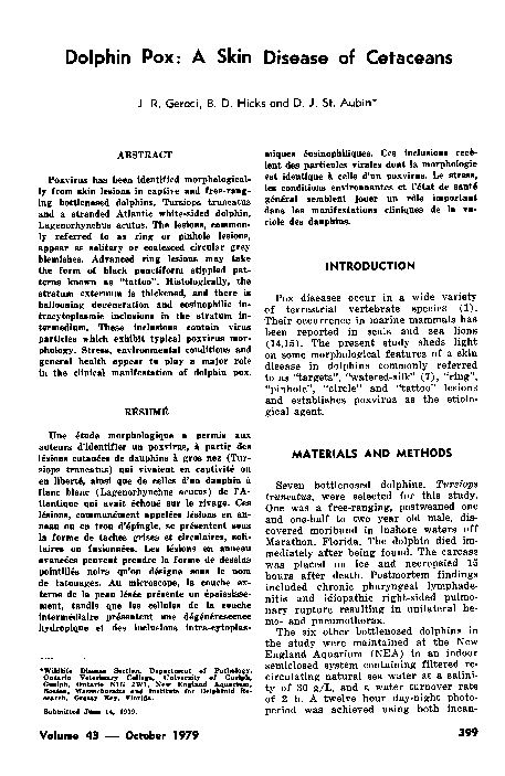 (PDF) Dolphin pox: a skin disease of cetaceans
