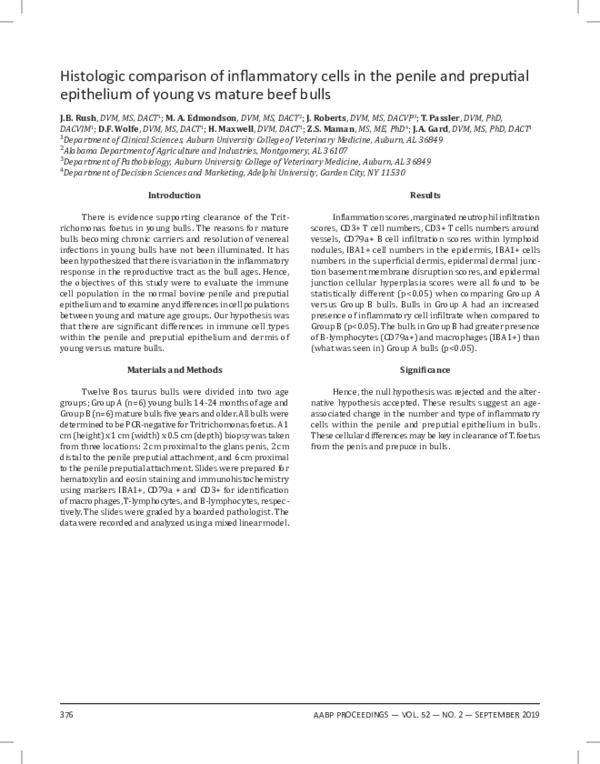 (PDF) Histologic comparison of inflammatory cells in the penile and ...