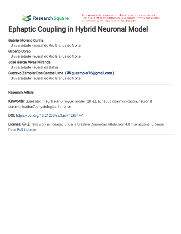 (PDF) Ephaptic Coupling in Hybrid Neuronal Model | Gabriel M Cunha and ...