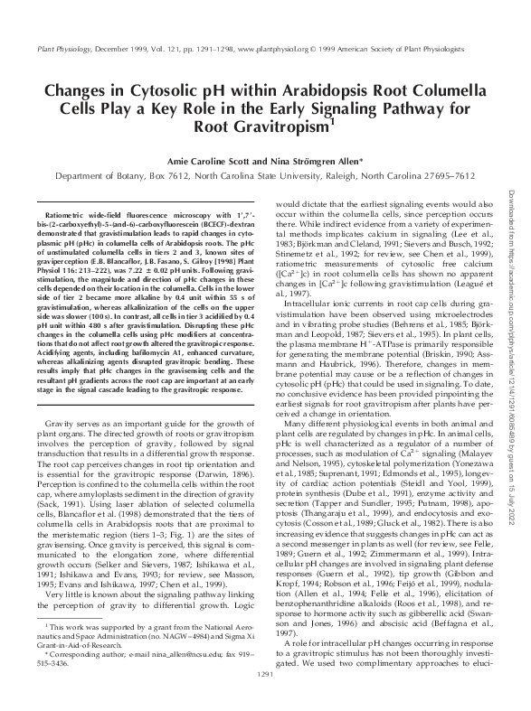 (PDF) Changes in Cytosolic pH within Arabidopsis Root Columella Cells ...