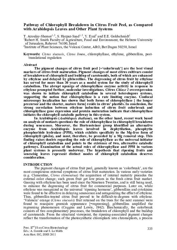 (PDF) Pathway of Chlorophyll Breakdown in Citrus Fruit Peel, as ...