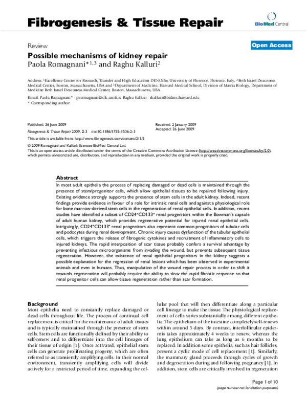 (PDF) Fibrogenesis & Tissue Repair