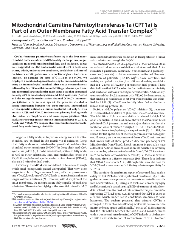 (PDF) Mitochondrial Carnitine Palmitoyltransferase 1a (CPT1a) Is Part ...