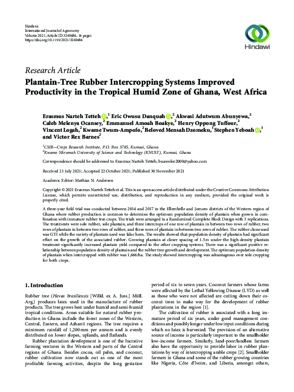 (PDF) Plantain-Tree Rubber Intercropping Systems Improved Productivity ...